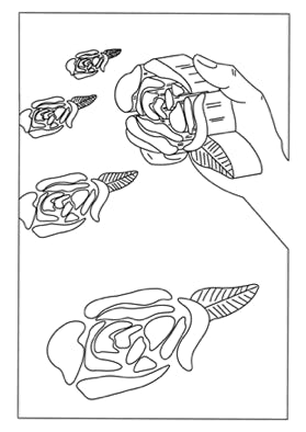 Chikankari